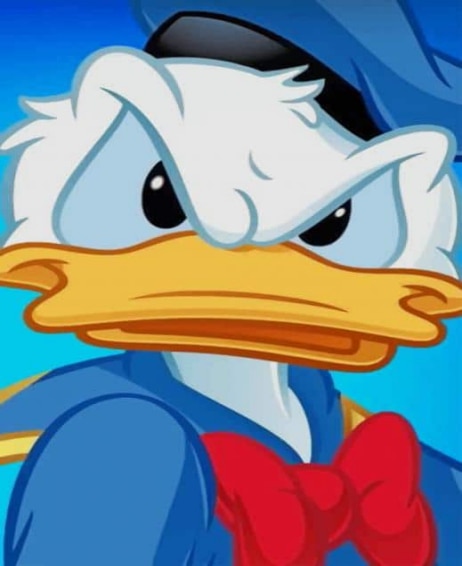 Obraz MALOWANIE PO NUMERACH Donald Duc Disney