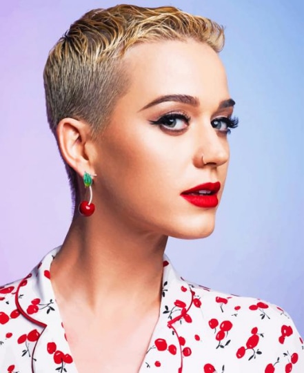 Obraz MALOWANIE PO NUMERACH Katy Perry Krótkie włosy
