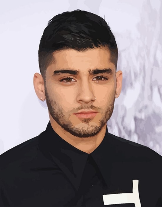 Obraz MALOWANIE PO NUMERACH Zain Javadd Malik