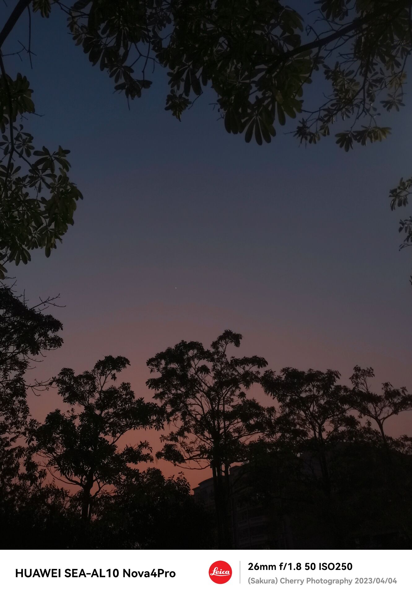 Obraz MALOWANIE PO NUMERACH Las nocą