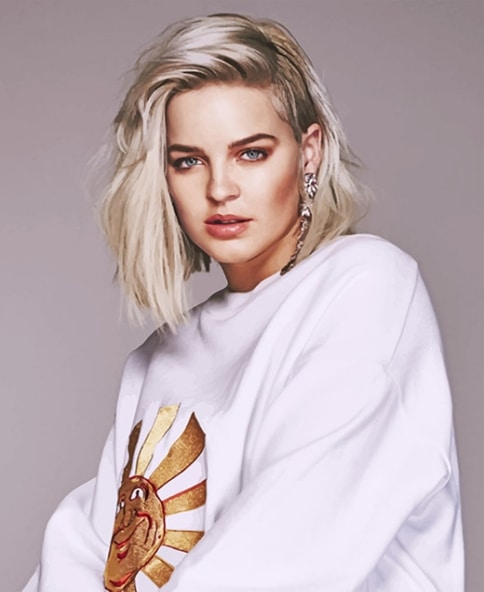 Obraz MALOWANIE PO NUMERACH Anne Marie Singer